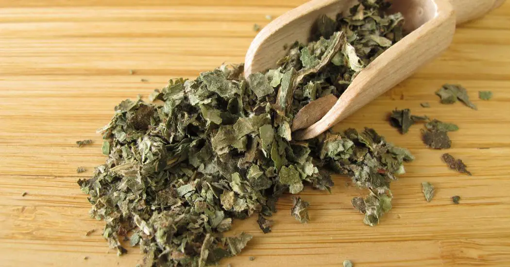 Nature's Toolbox: 4 Antihistamine Herbs for Histamine Intolerance ...