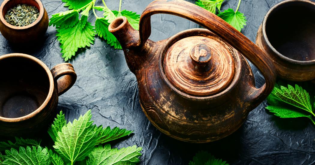 Nature's Toolbox: 4 Antihistamine Herbs for Histamine Intolerance ...